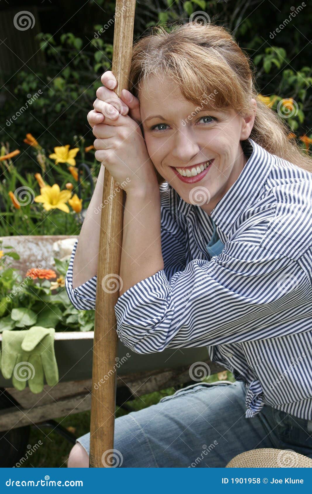 Garden portraits stock photo. Image of grass, garden, gardening - 1901958