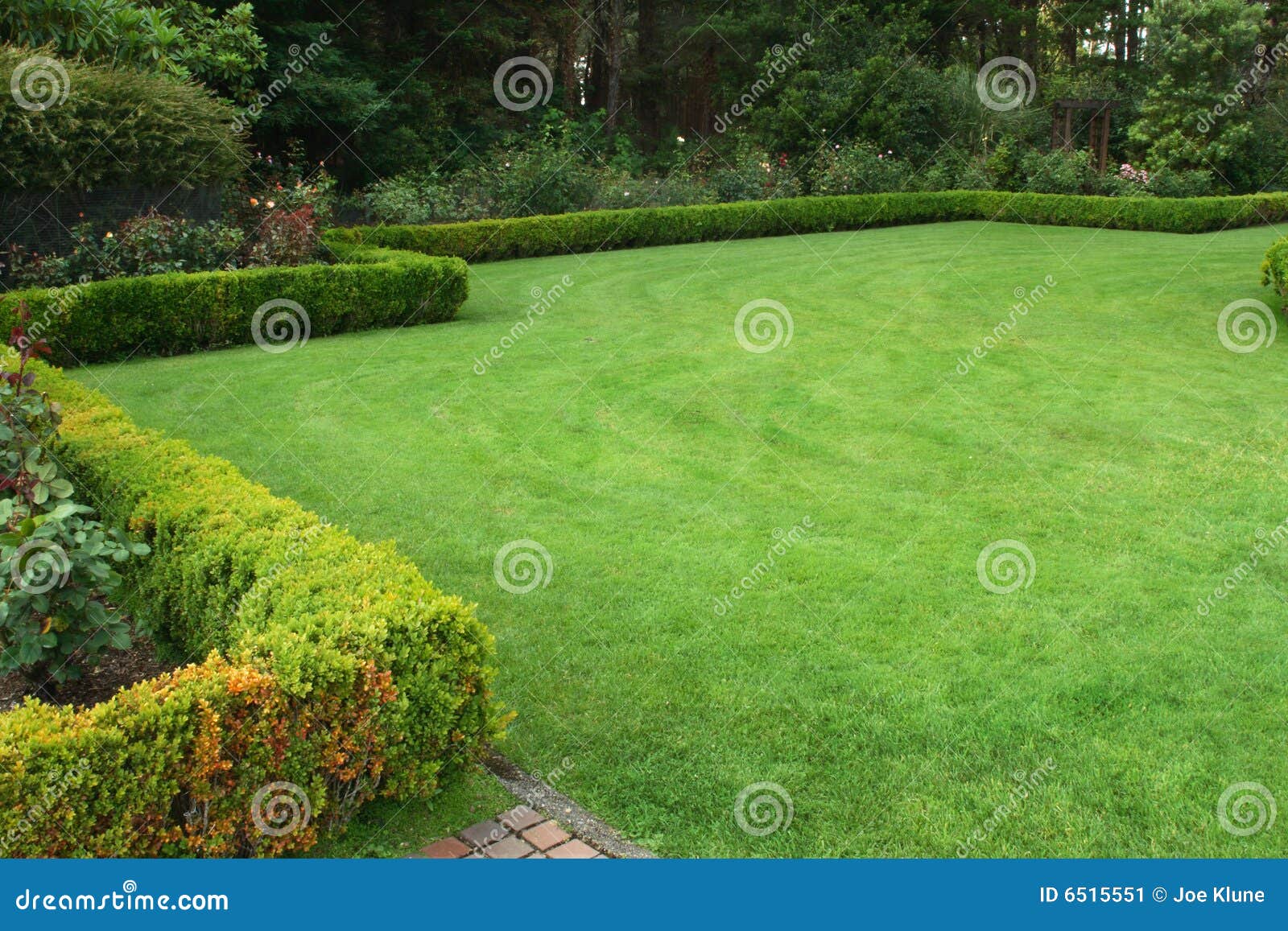 Garden portraits stock image. Image of plants, hedge, fresh - 6515551
