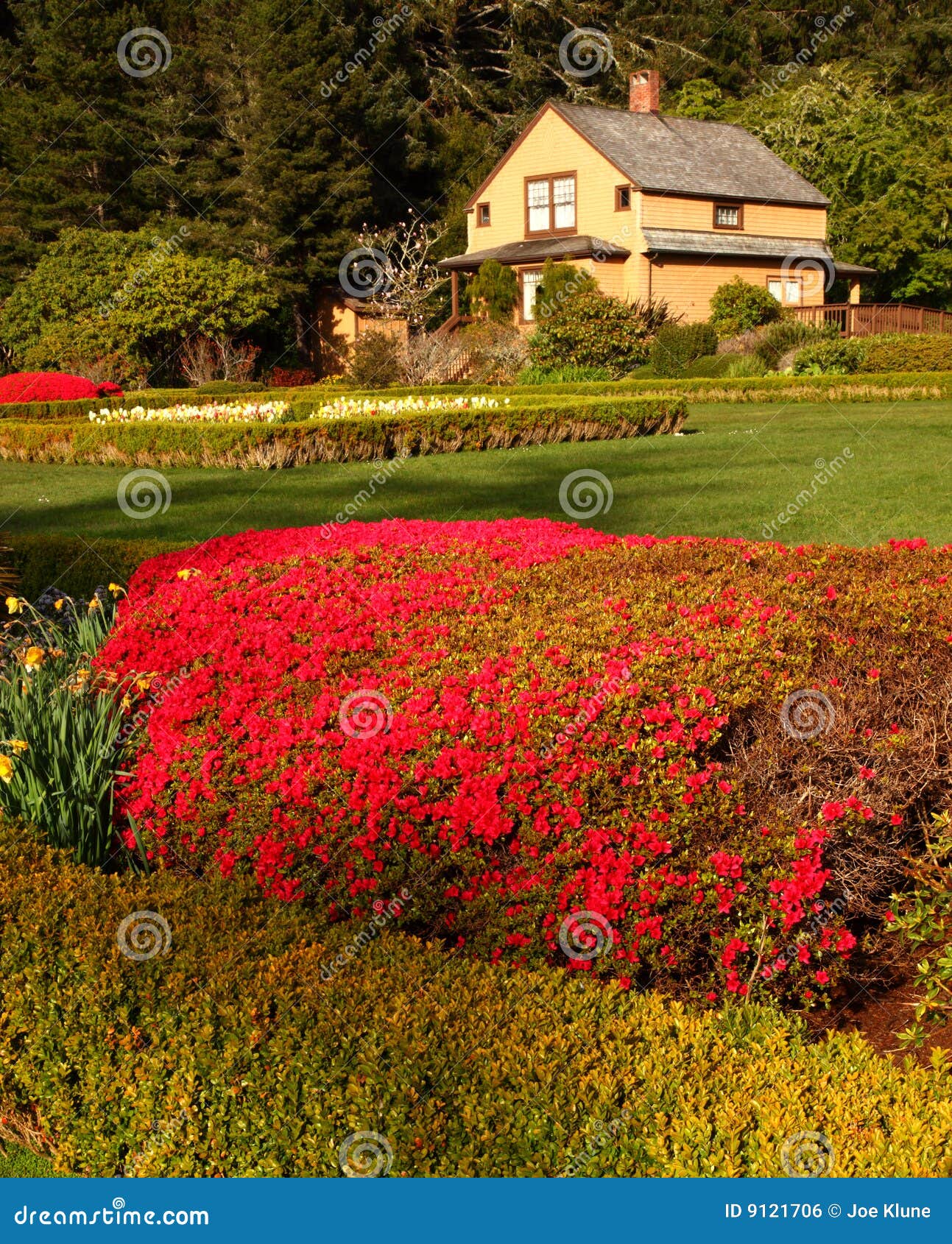 Garden portraits stock photo. Image of dwelling, landscape - 9121706