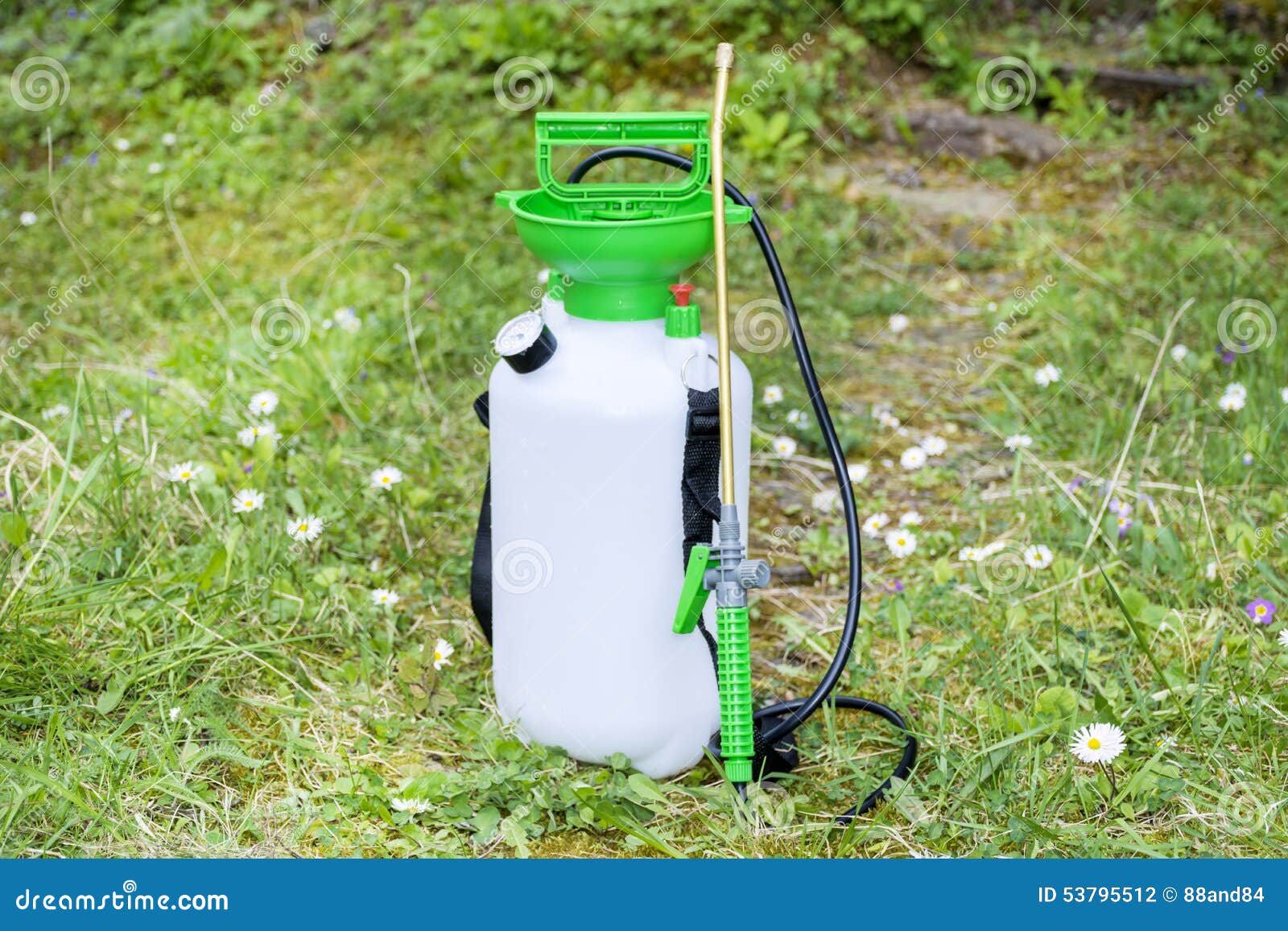 Garden Pressure sprayer stock photo. Image of housekeeping - 53795512