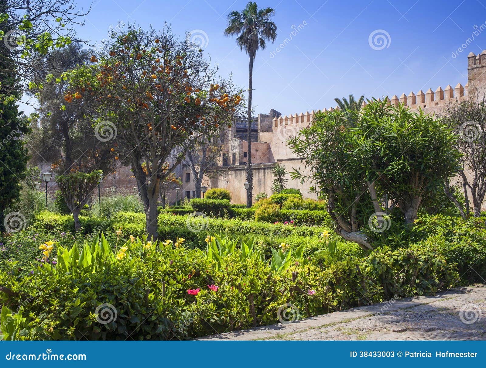 Garden in Rabat, Morocco stock image. Image of maghreb - 38433003