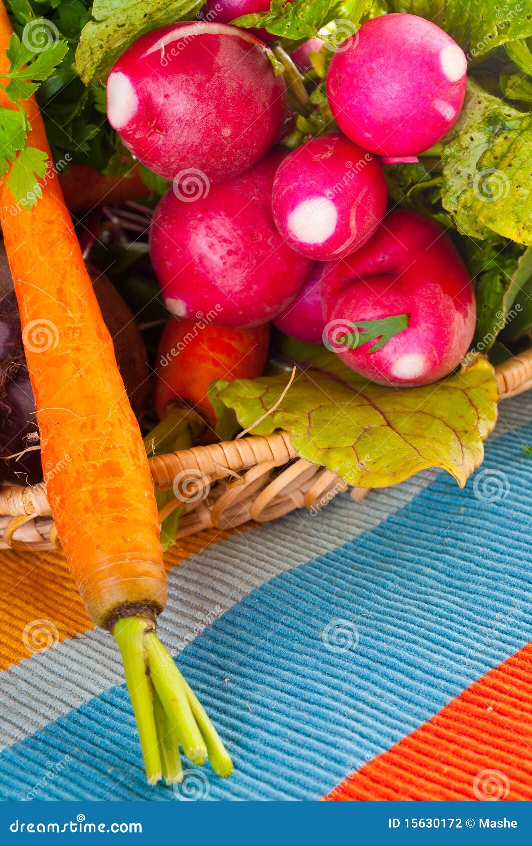 Garden Radish, Carrots and Beet. Stock Photo - Image of leaves ...