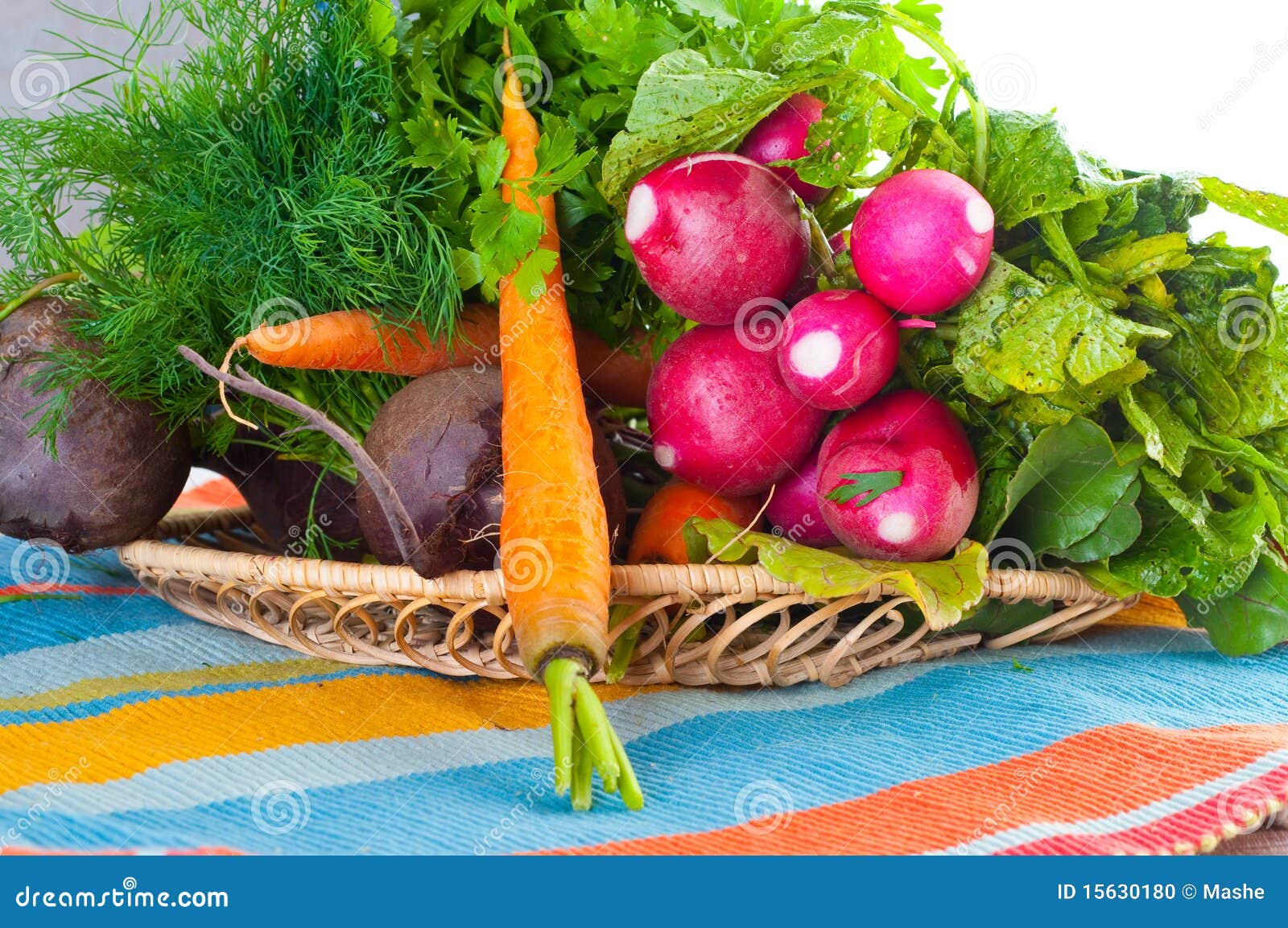 Garden Radish, Carrots and Beet. Stock Photo - Image of pure, crop ...