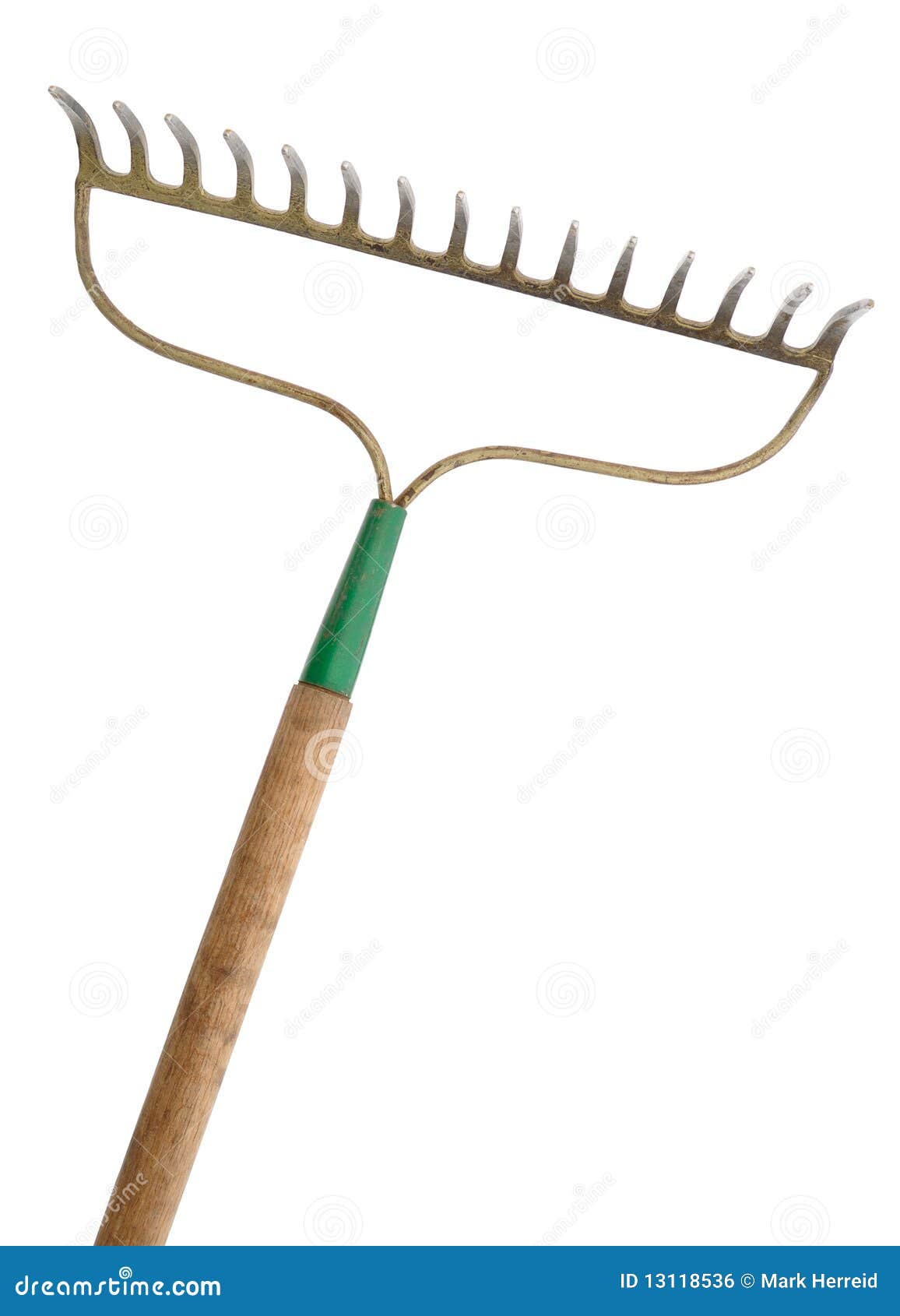Garden Rake stock photo. Image of garden, isolated, vertical - 13118536