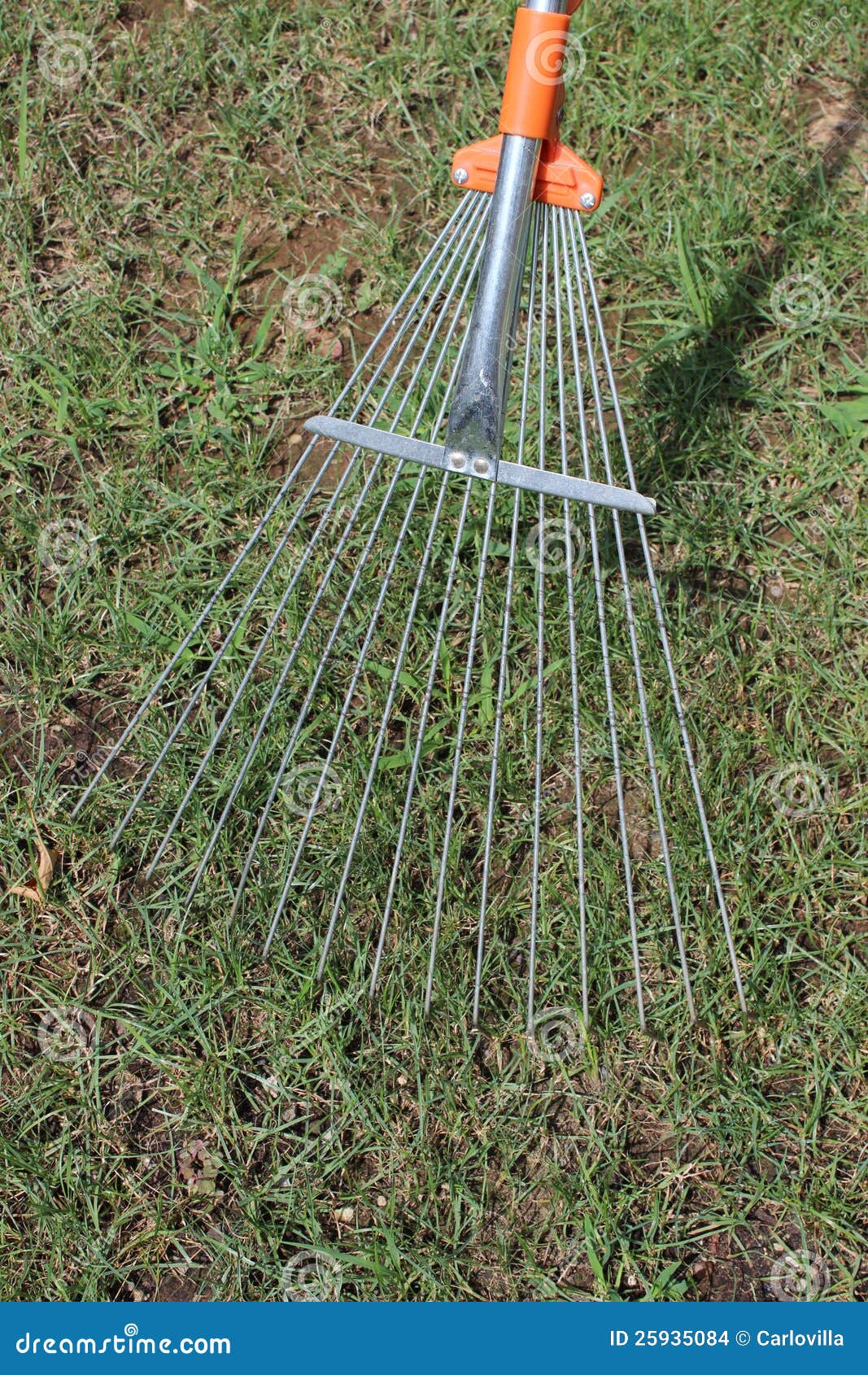 Garden rake stock photo. Image of lawn, courtyard, pool - 25935084
