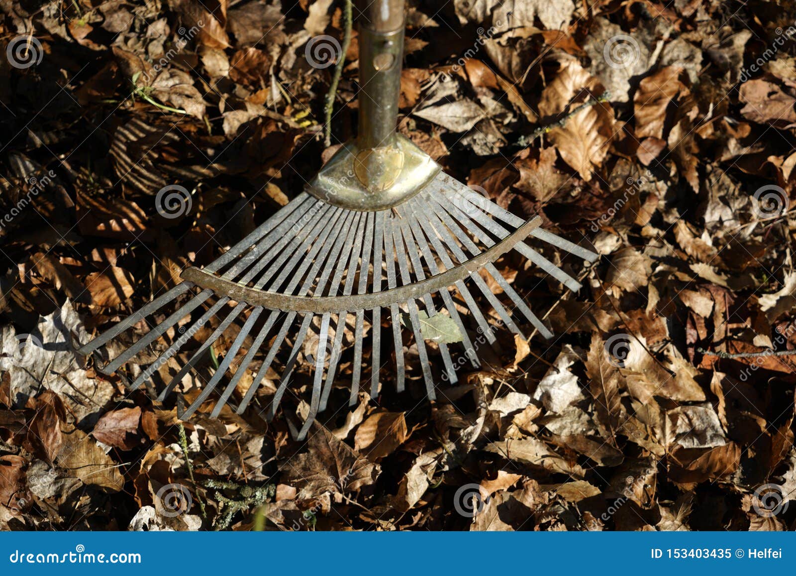 Garden Rake is Especially Helpful in Fall Foliage Leaves Stock Image ...