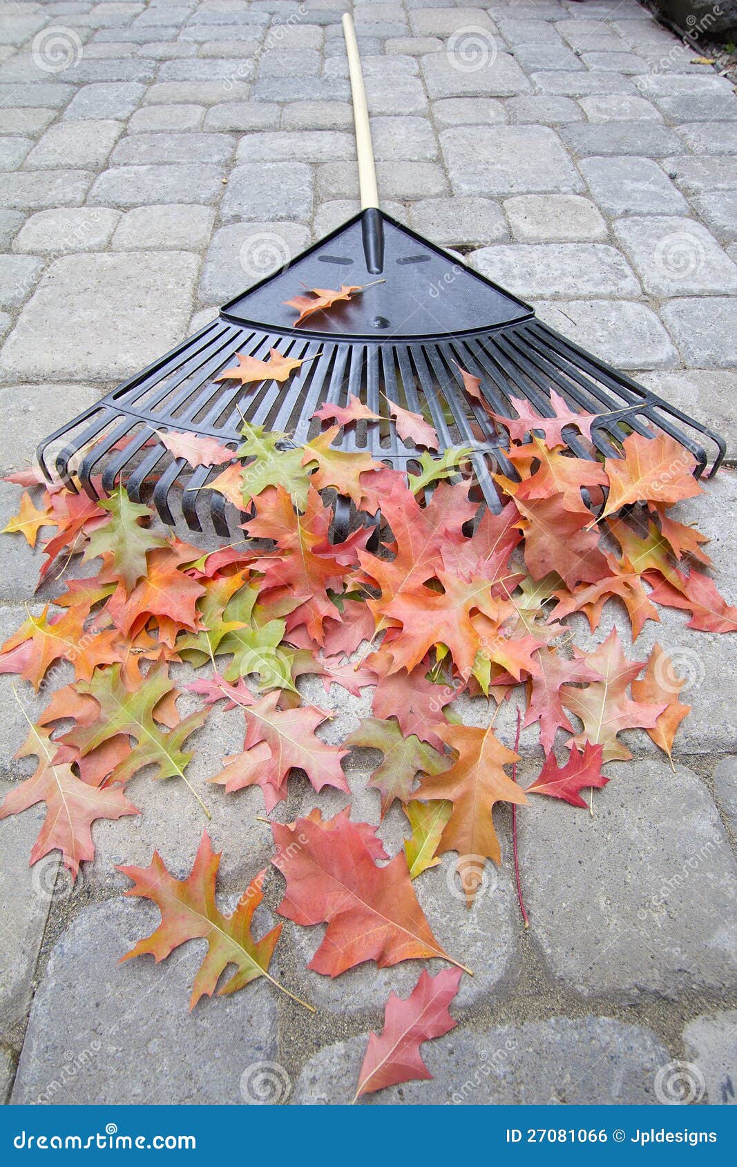 Garden Rake Laying on Backyard Patio Stock Photo - Image of rake ...