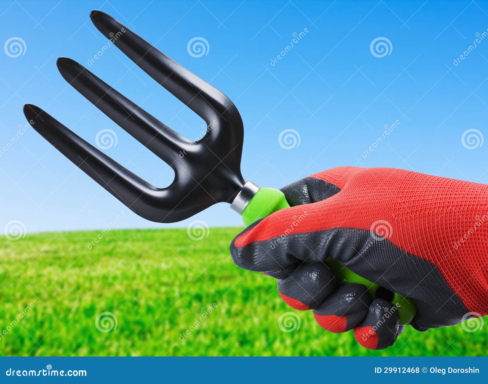 Garden rakes in hand stock photo. Image of isolated, raking - 29912468