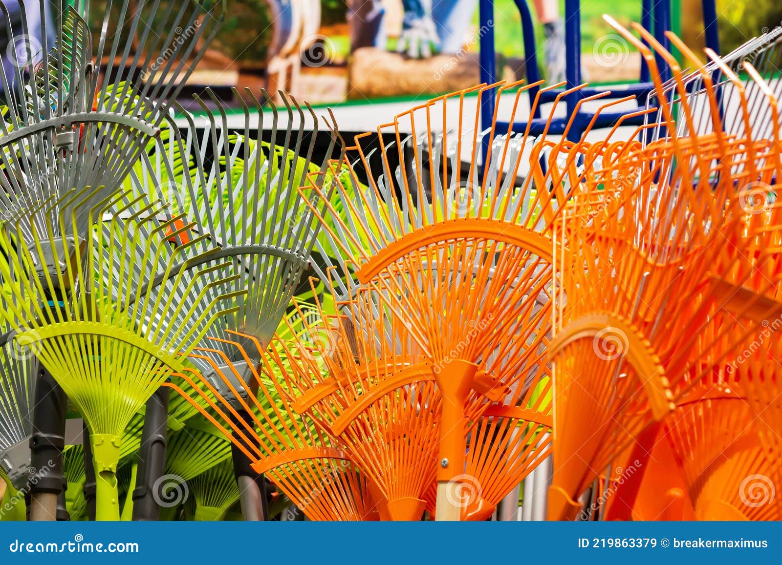 Garden Rakes Standing in Store Stock Image - Image of garden, modern ...