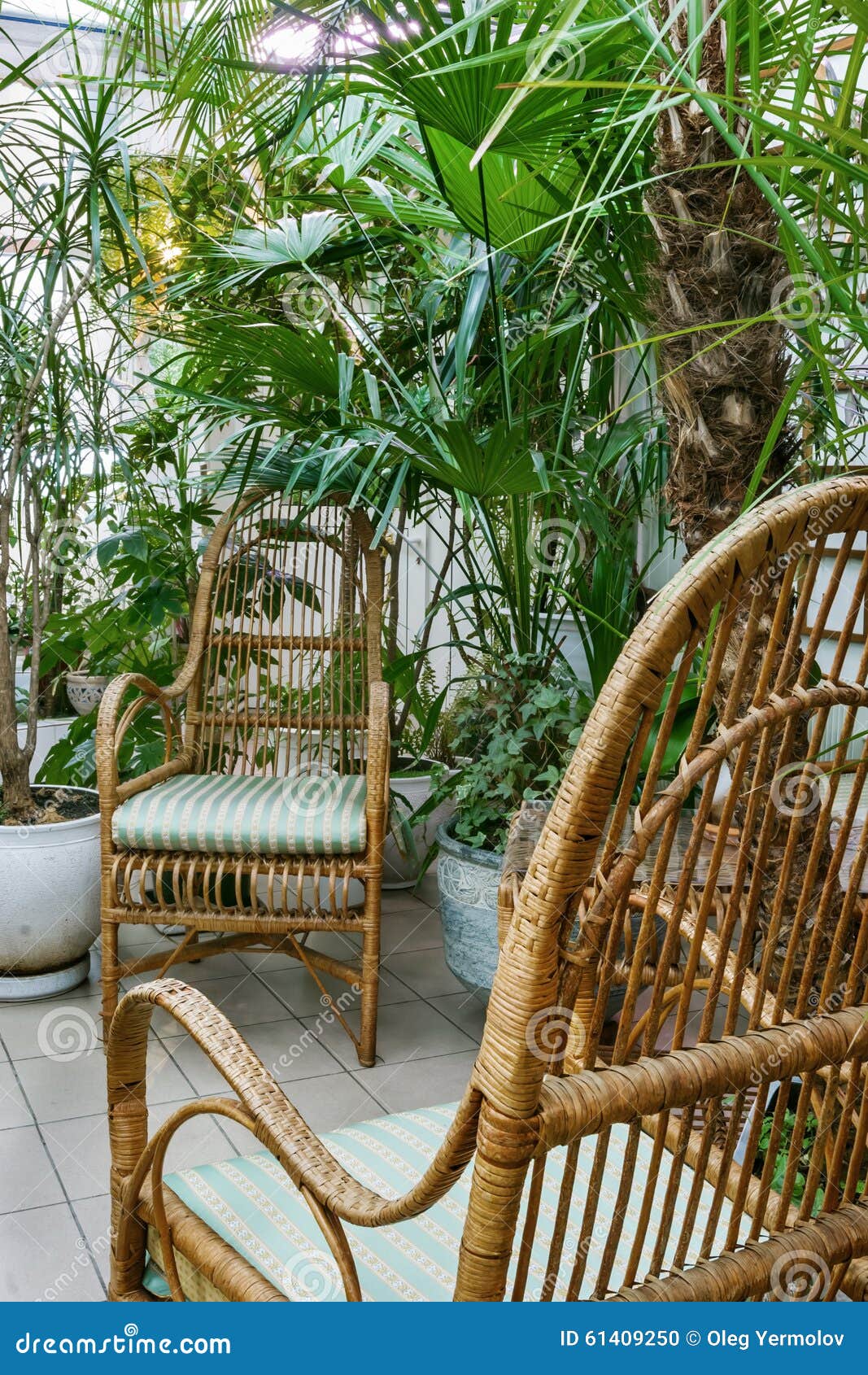 Garden rattan stock photo. Image of decor, foliage, plant - 61409250
