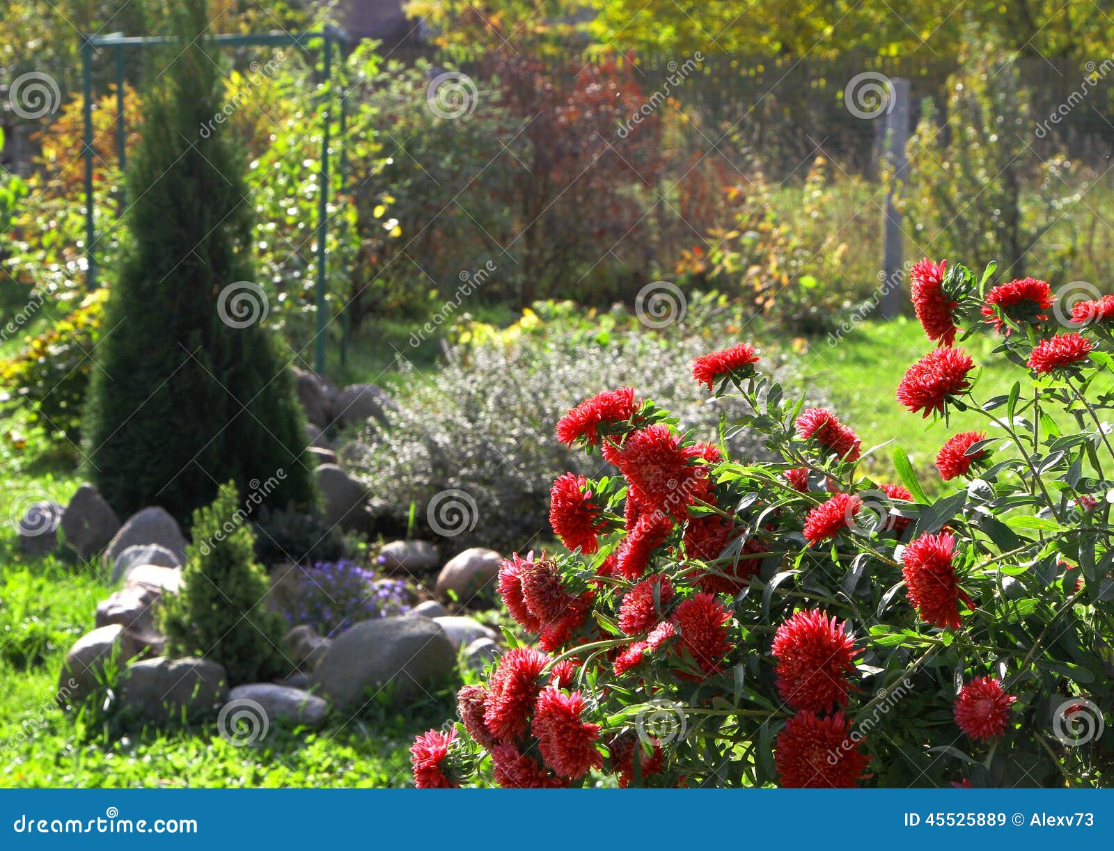 Garden with Red Flowers and Tree Stock Image - Image of nature, flowers ...