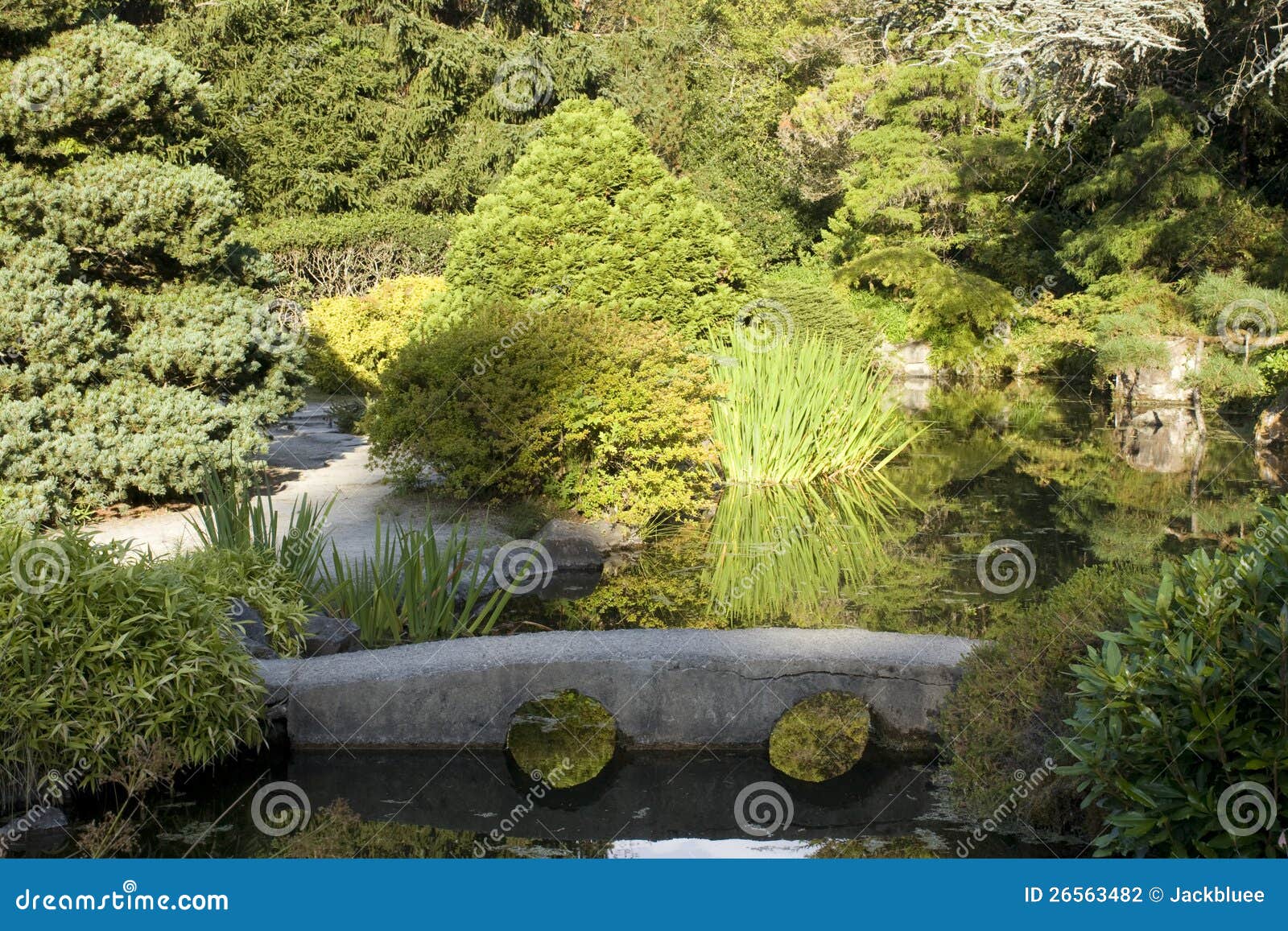 Garden with reflection stock photo. Image of japanese - 26563482