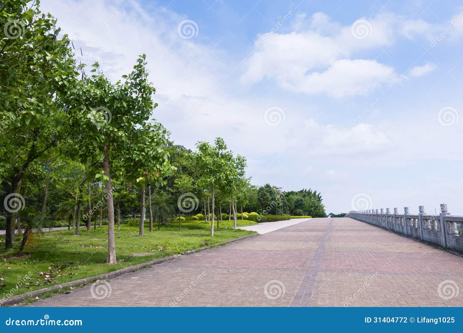 Garden road stock photo. Image of path, nature, palm - 31404772