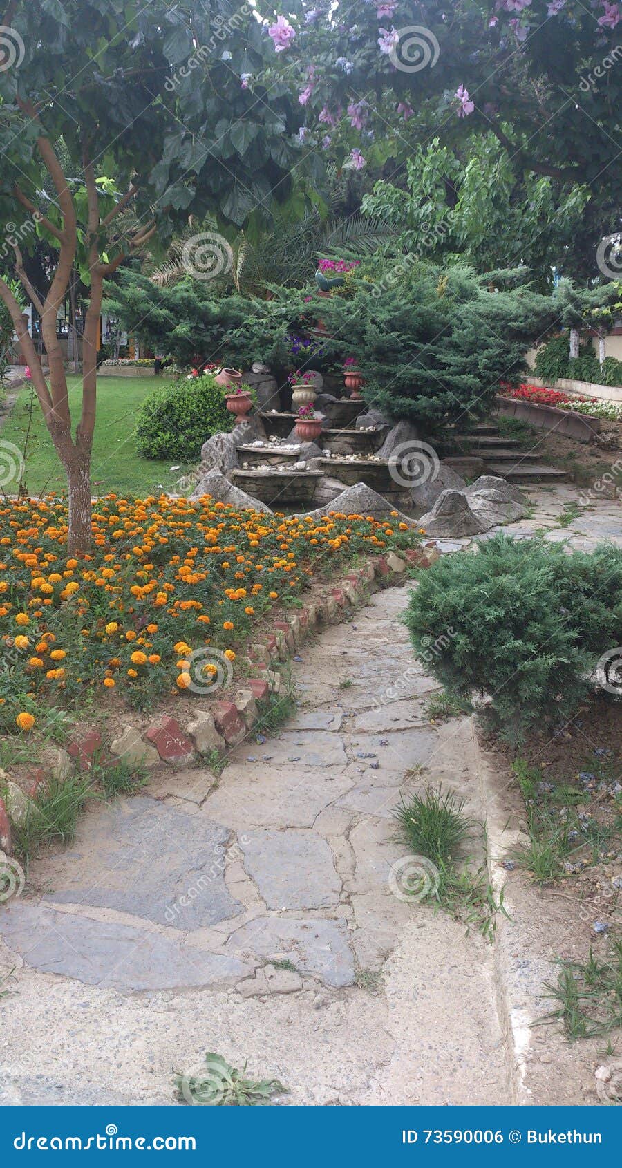 Garden road. stock photo. Image of garden, road, trees - 73590006