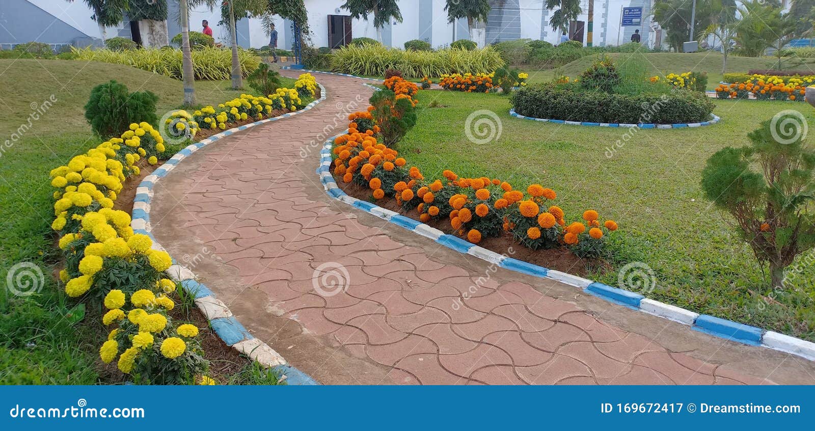 Garden Road in Middle of Garden Editorial Photography - Image of drop ...