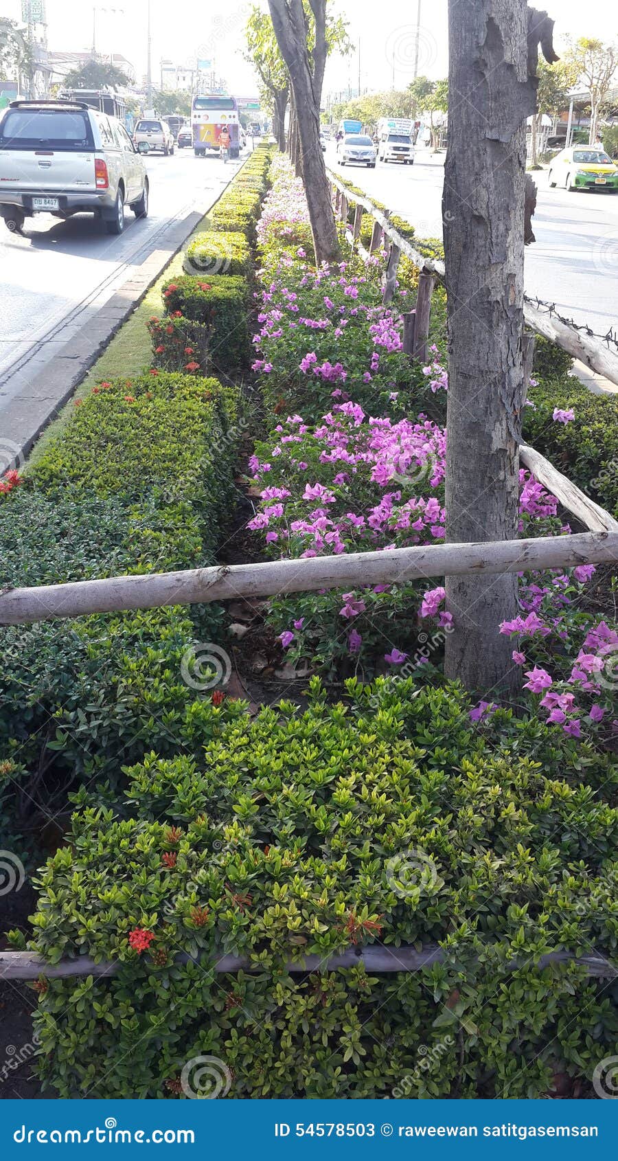 Garden editorial stock photo. Image of neatly, roadside - 54578503