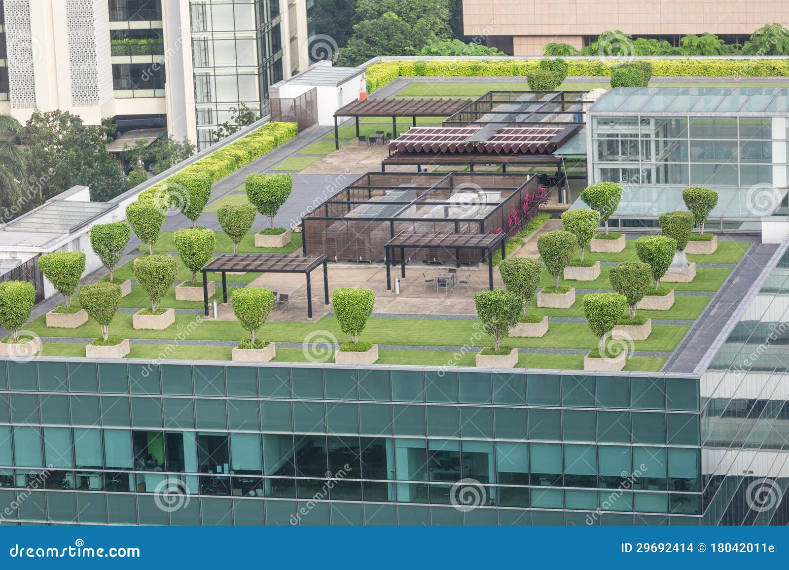 â€œGarden on the Roofâ€ Concept Stock Photo - Image of pretty, building ...