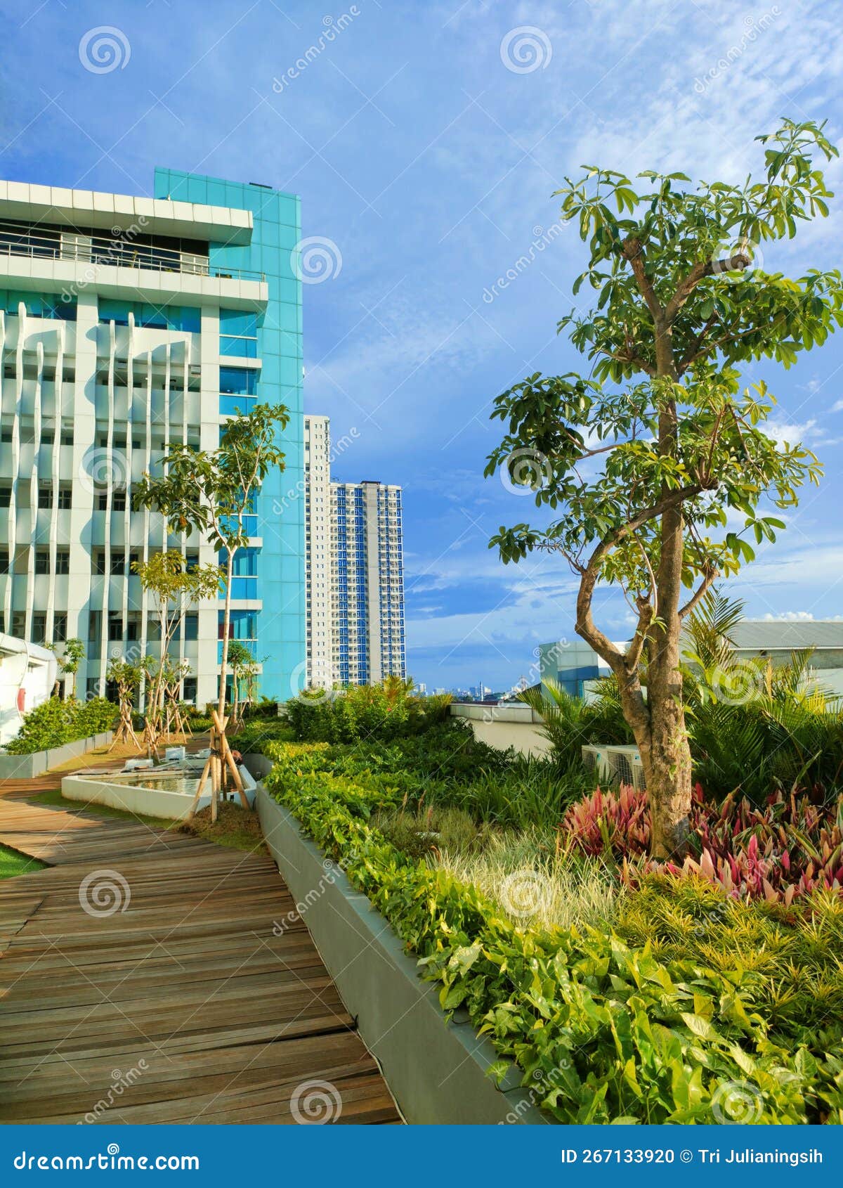 Garden on the Rooftop in the Hospital Building Stock Photo - Image of ...