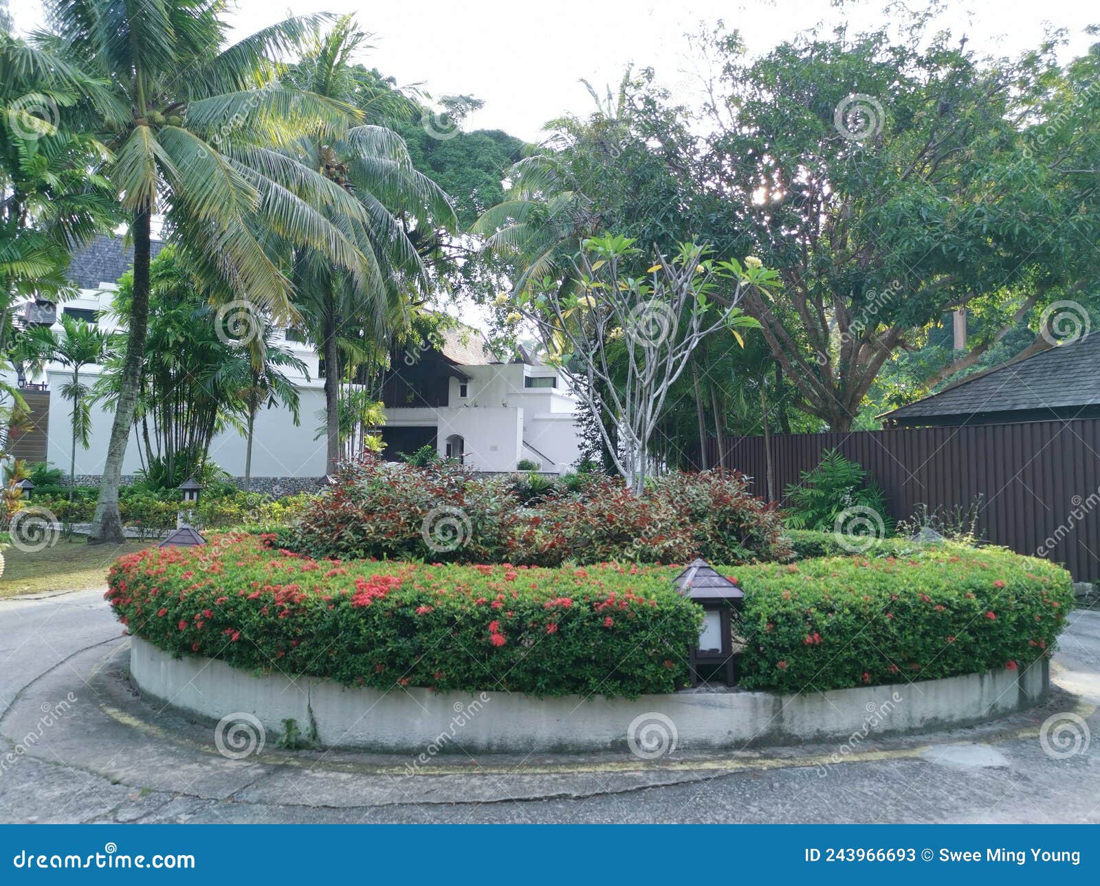 Garden Roundabout with Leafy Plant. Stock Image - Image of clean, color ...