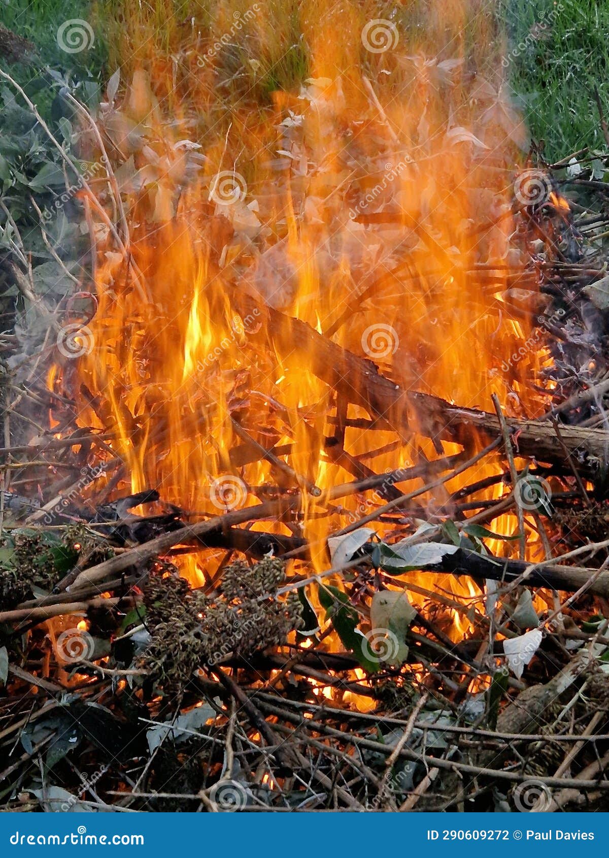 Garden rubbish fire stock photo. Image of flamrs, garden - 290609272