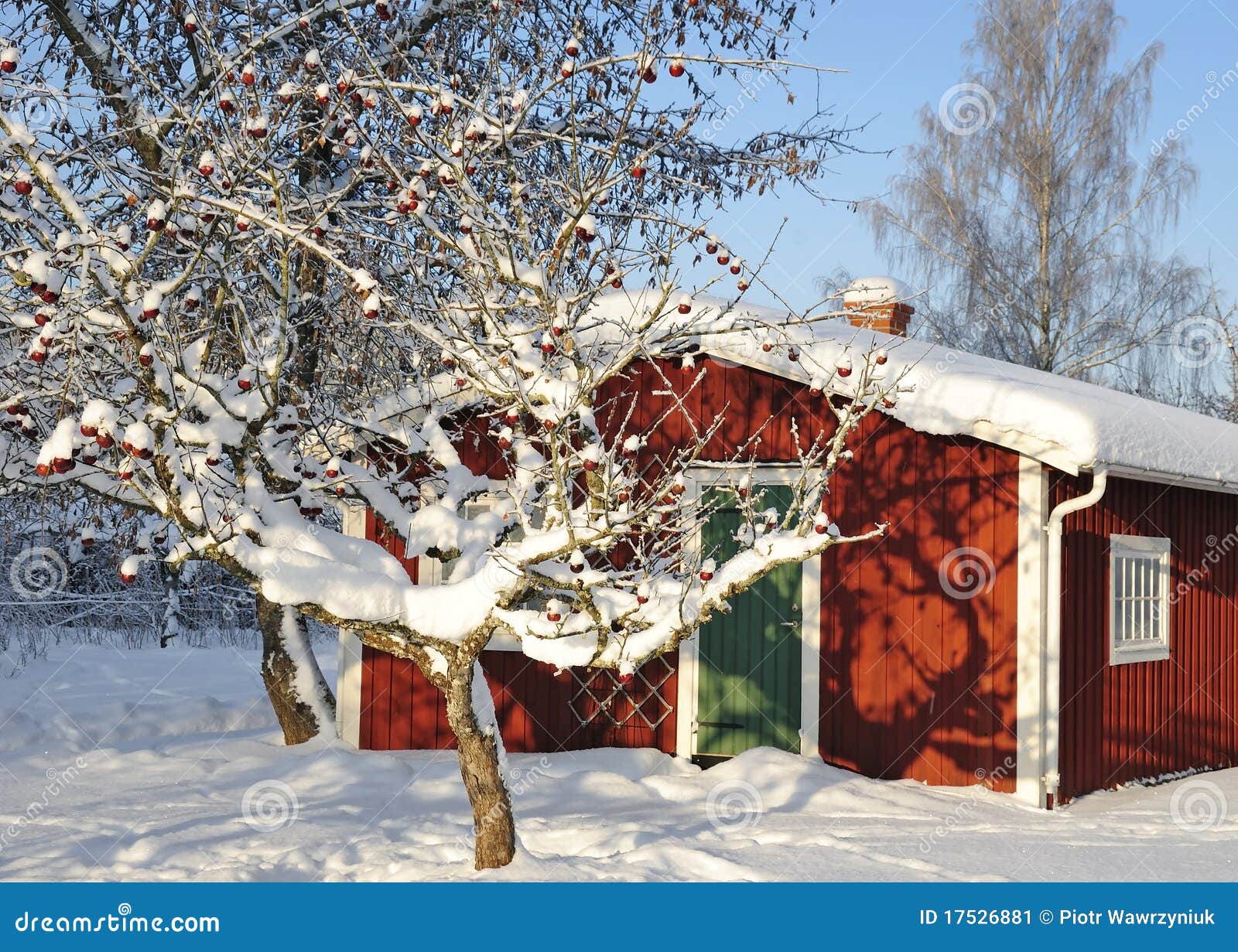 Garden s winter arbor stock image. Image of frosty, building - 17526881