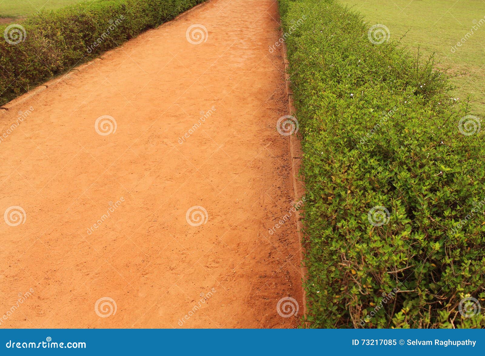 Sand Path Thorugh The Dunes Of Westhoek Nature Reserve Stock Photo ...