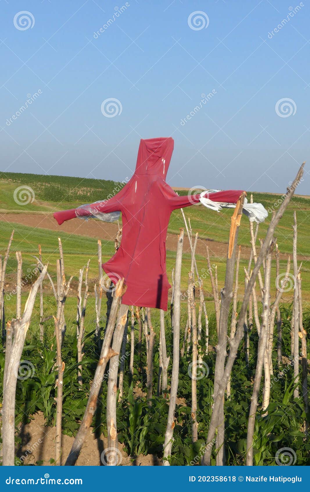Garden Scarecrow in a Garden, Scarecrow Made of Human Clothing Stock ...