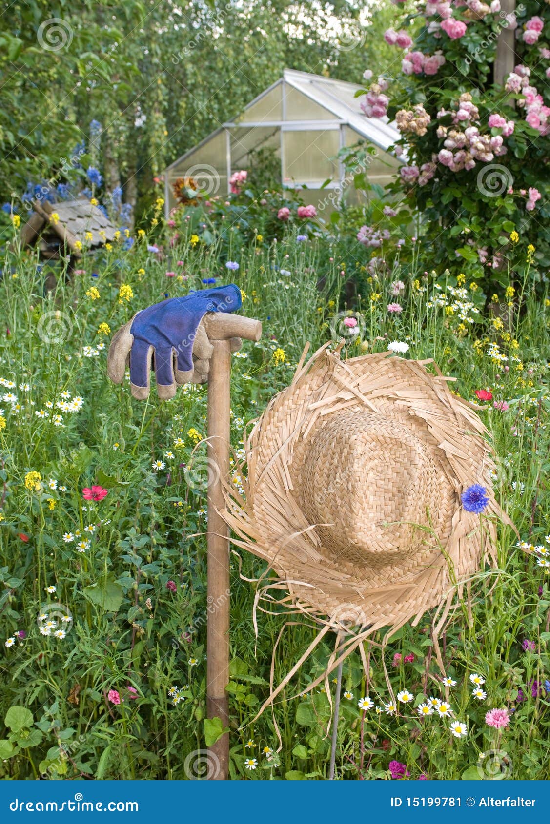 Garden scene stock image. Image of hayfield, blossom - 15199781