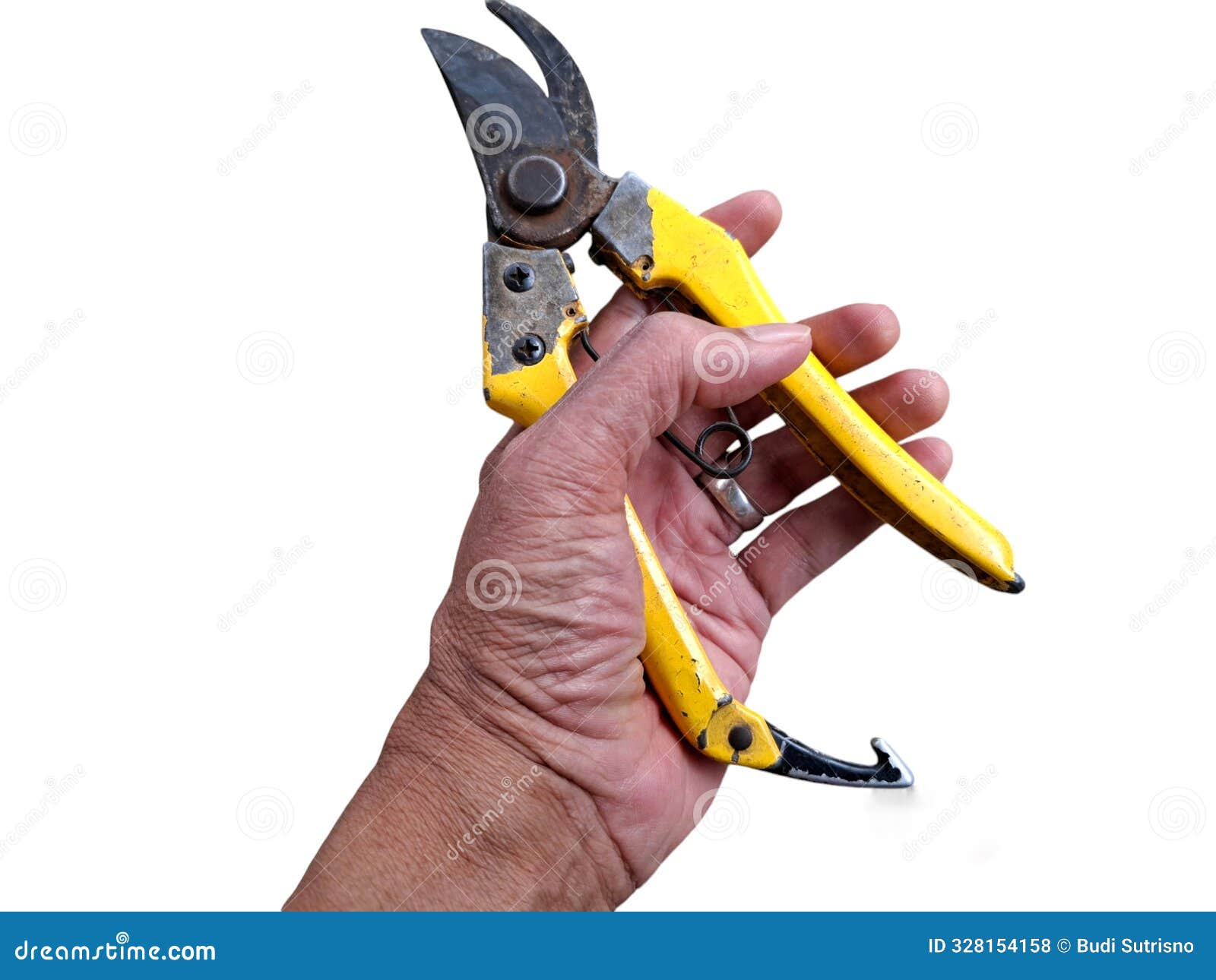 A Garden Scissors for Trimming Tree Branches Stock Photo - Image of ...