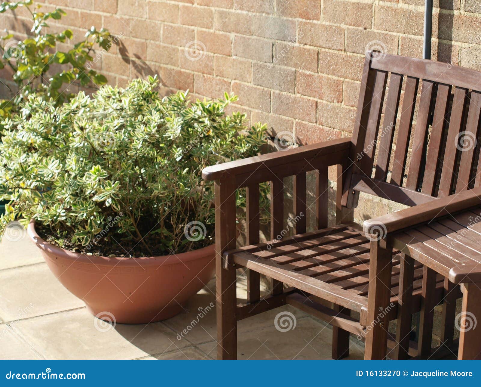 Garden seat with plant stock photo. Image of slats, leaves - 16133270