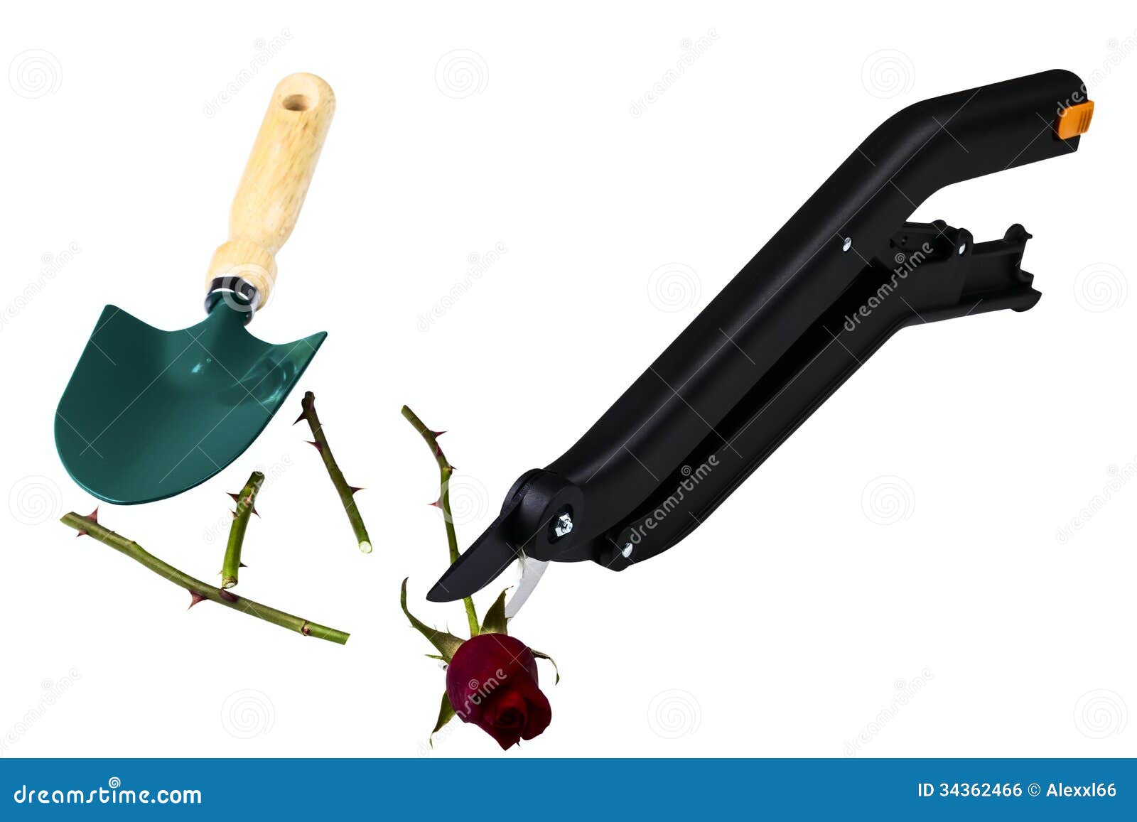 Garden secateurs stock photo. Image of tidy, stalk, shanks - 34362466