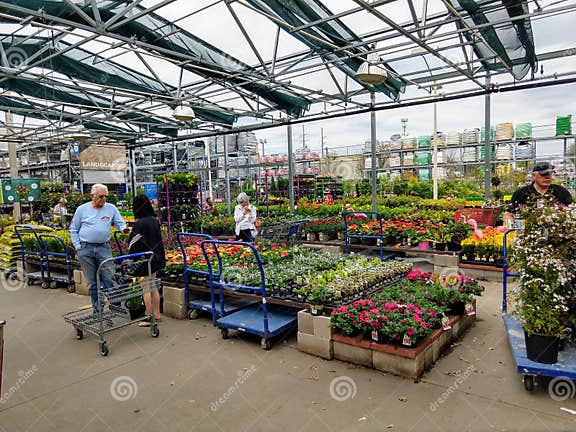 Inside Lowe& X27;s Store Editorial Stock Photo - Image of garden, lowes ...