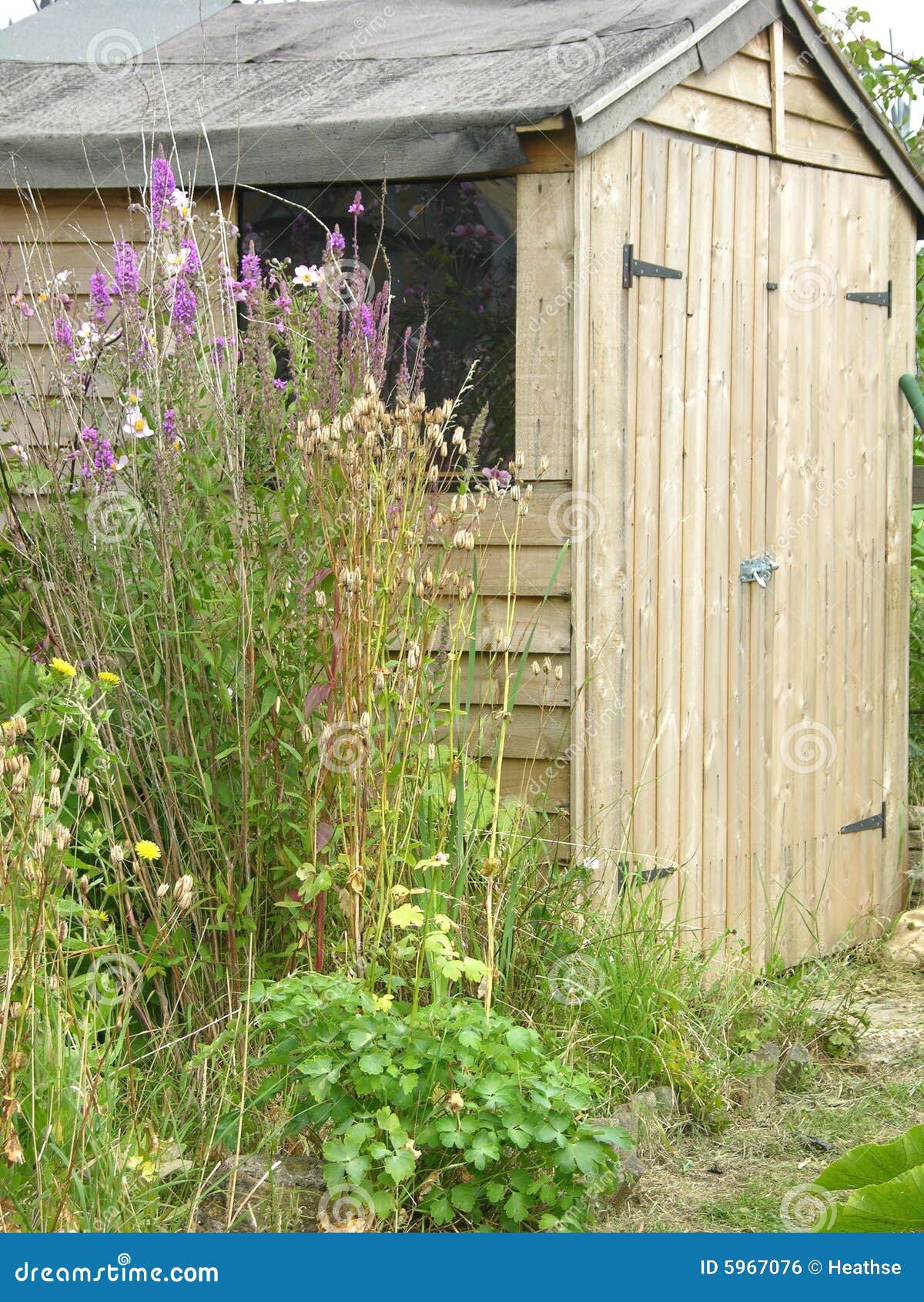 Garden Shed 1 stock photo. Image of waterproof, wood, allotment - 5967076