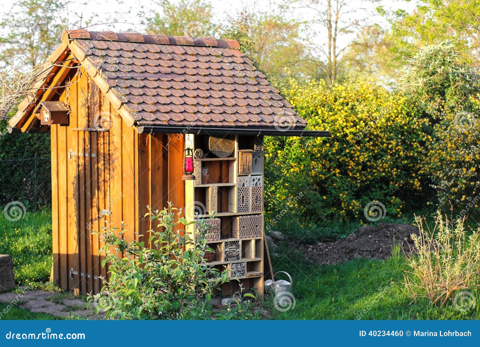 Garden Shed with Insect Hotel Stock Photo - Image of ecology ...