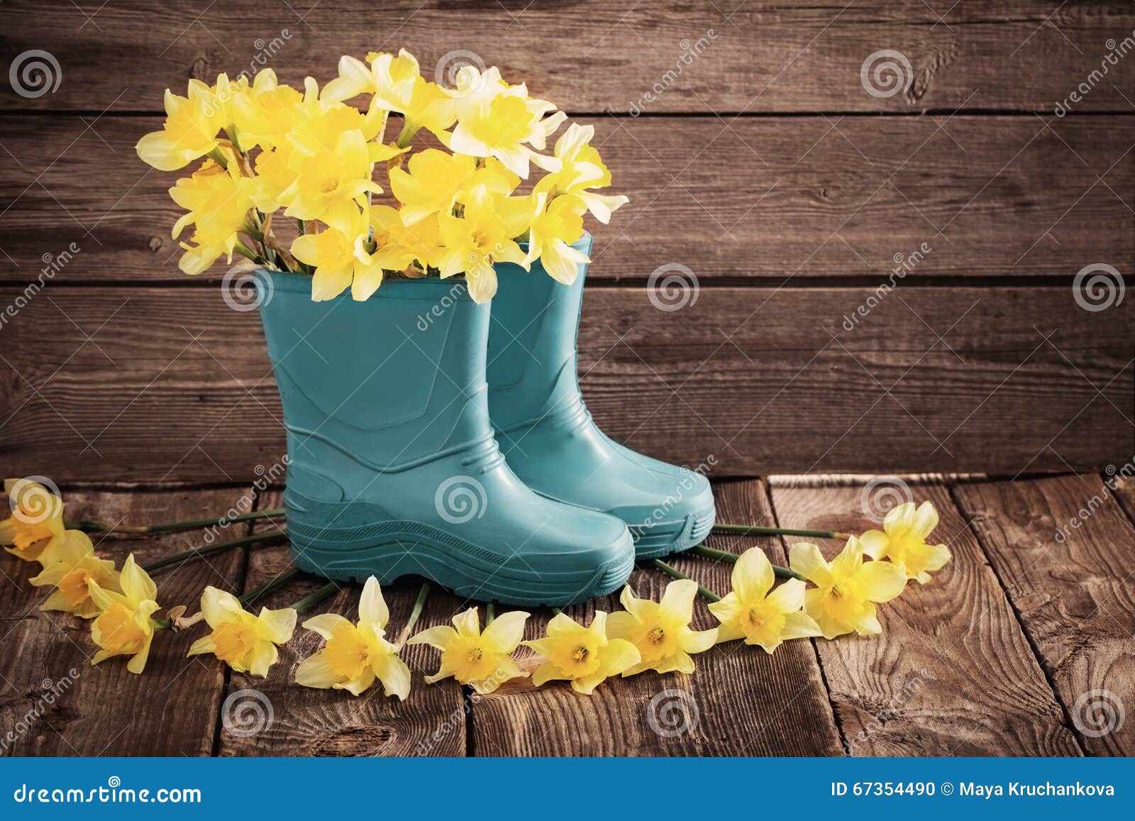 Garden Shoes with Spring Flowers Stock Photo - Image of blue ...