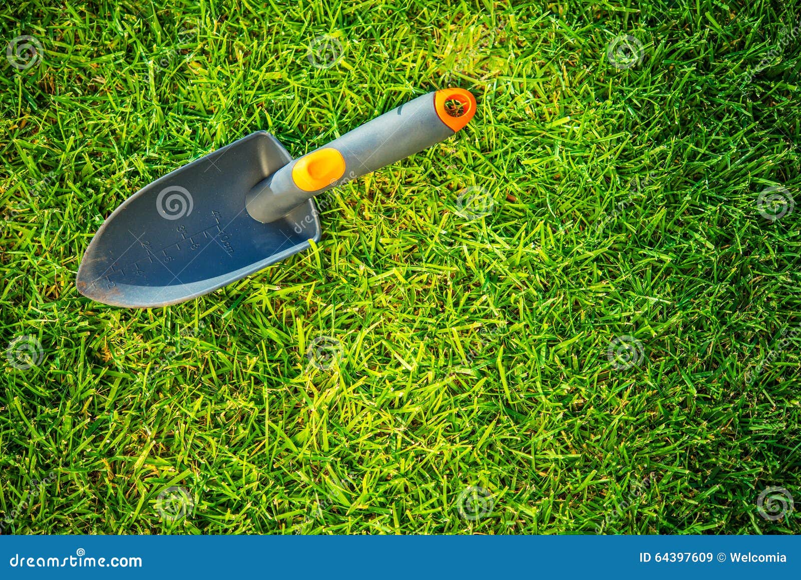 Garden Shovel on a Grass stock image. Image of grassy - 64397609