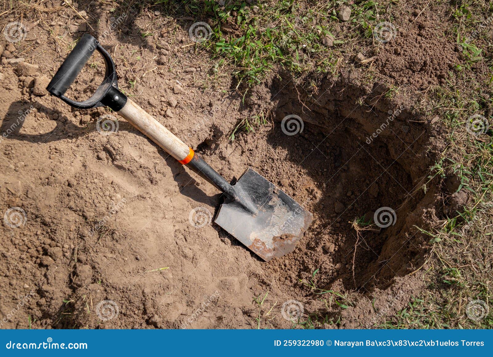 Garden Shovel To Plant a Tree, Shovel Concept Stock Photo - Image of ...