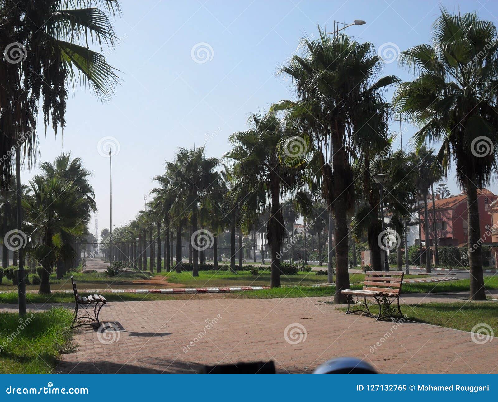Garden sidi rahhal morocco stock image. Image of sidi - 127132769