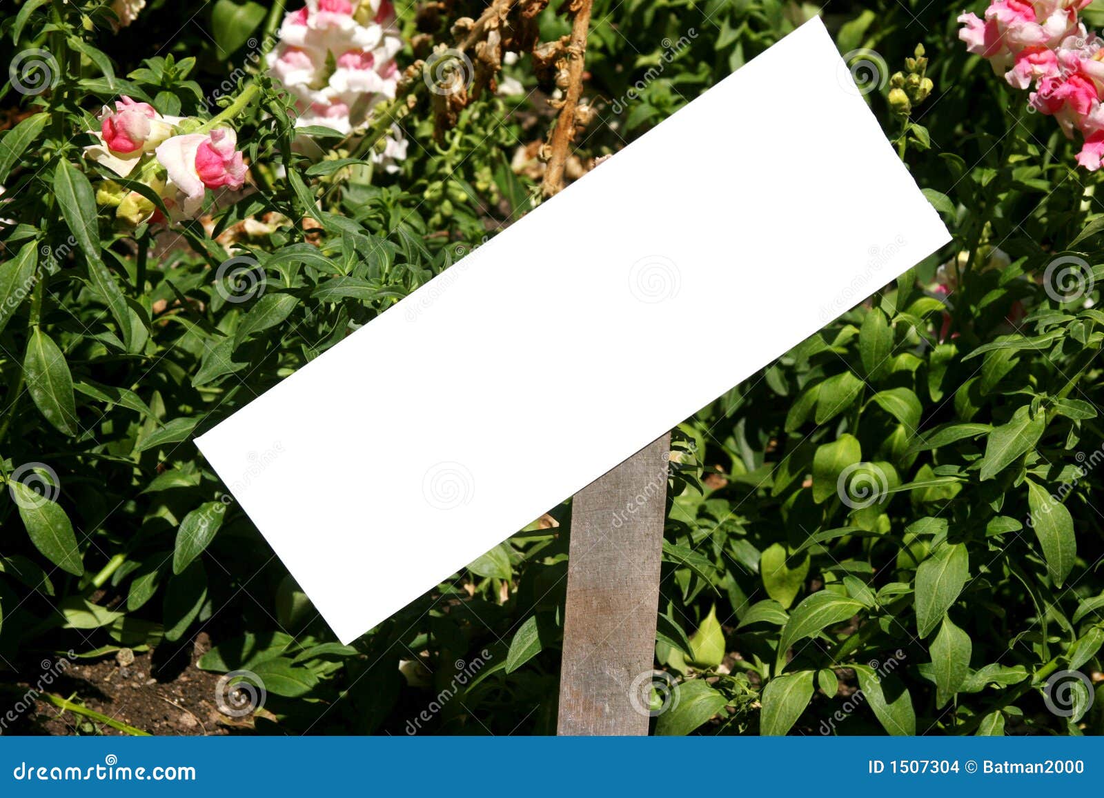 Garden sign empty stock photo. Image of green, oblique - 1507304