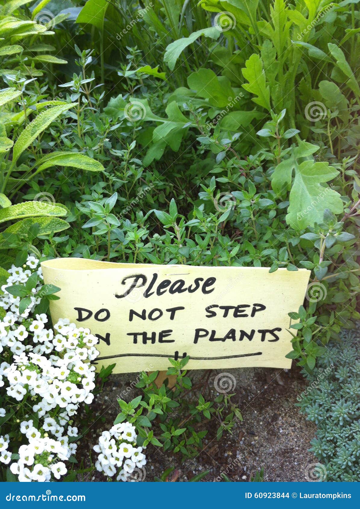 Garden Sign stock photo. Image of hand, home, drawn, signs - 60923844