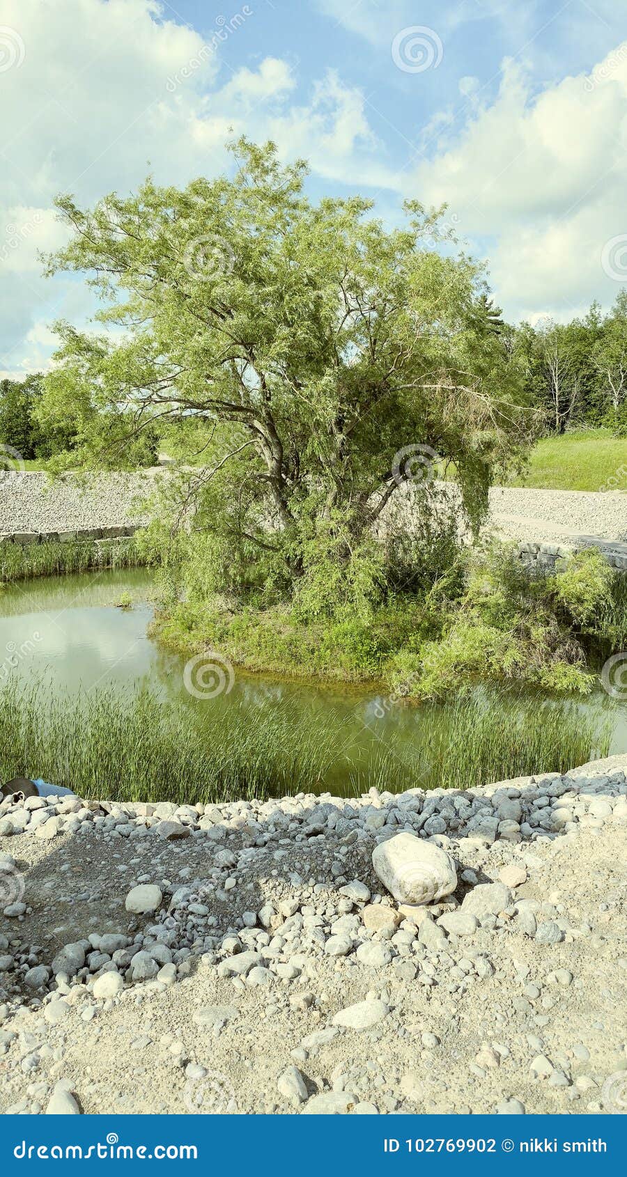 Zen pond stock photo. Image of garden, silent, meditate - 102769902