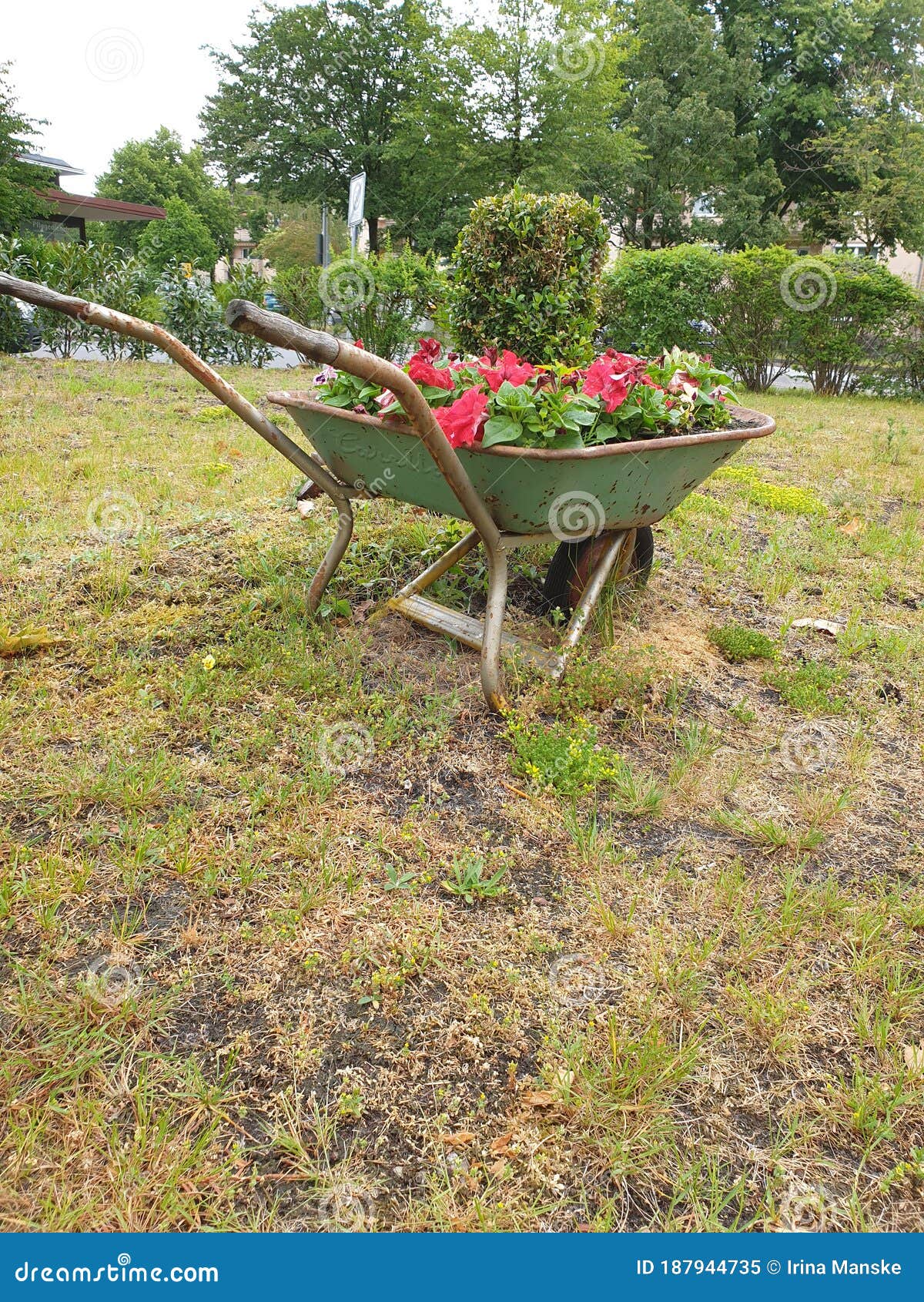 Garden in a small spot stock image. Image of forest - 187944735