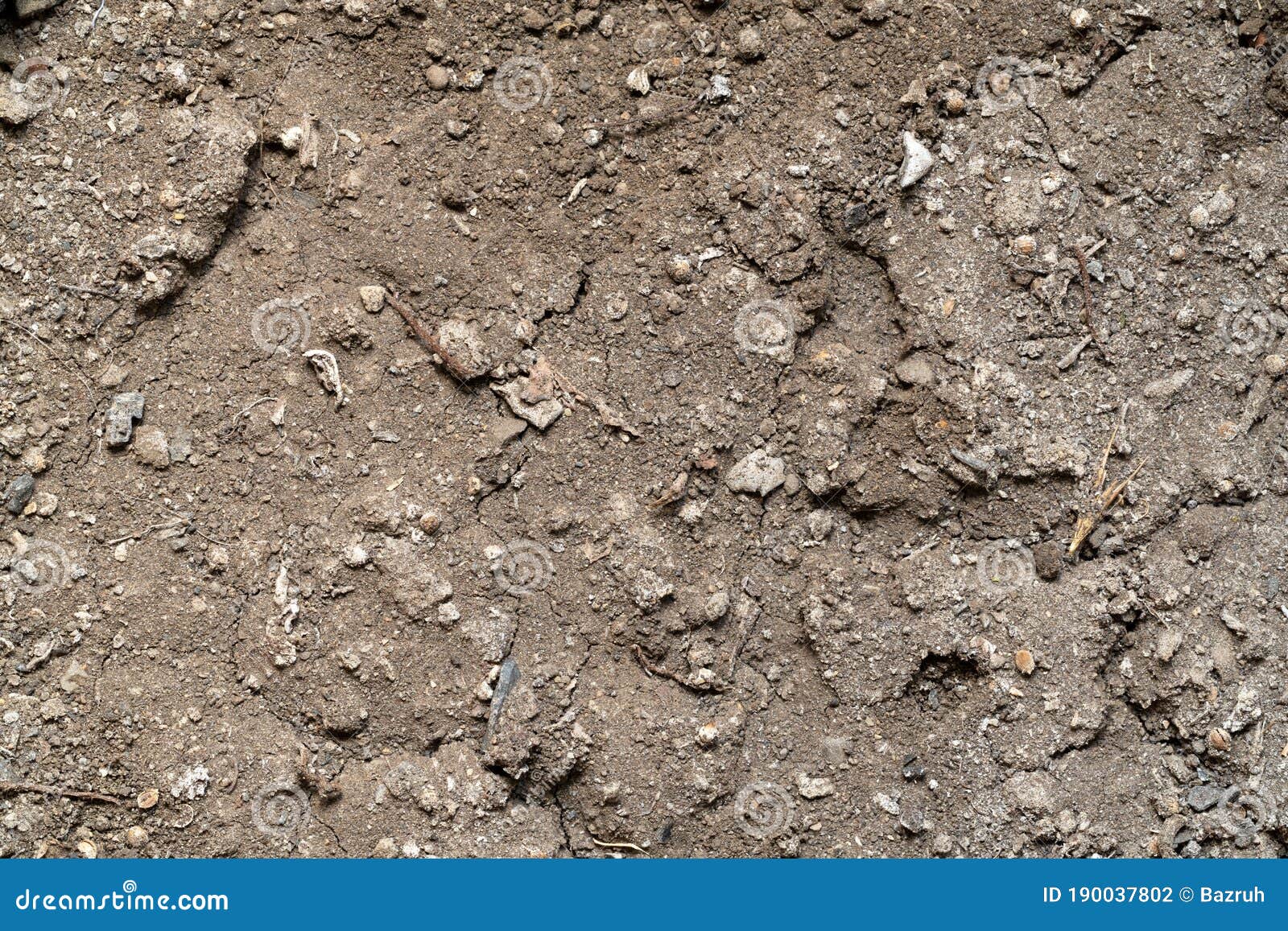 Garden Soil Texture Background Stock Photo - Image of background ...