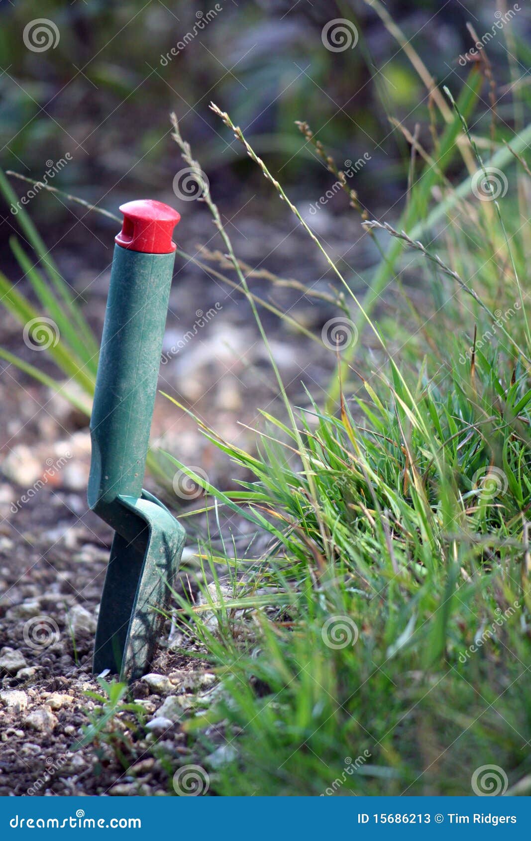 Garden Spade stock image. Image of weeds, cultivating - 15686213