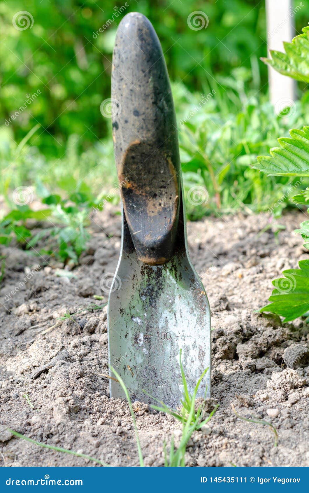 Garden spatula close-up stock image. Image of equipment - 145435111