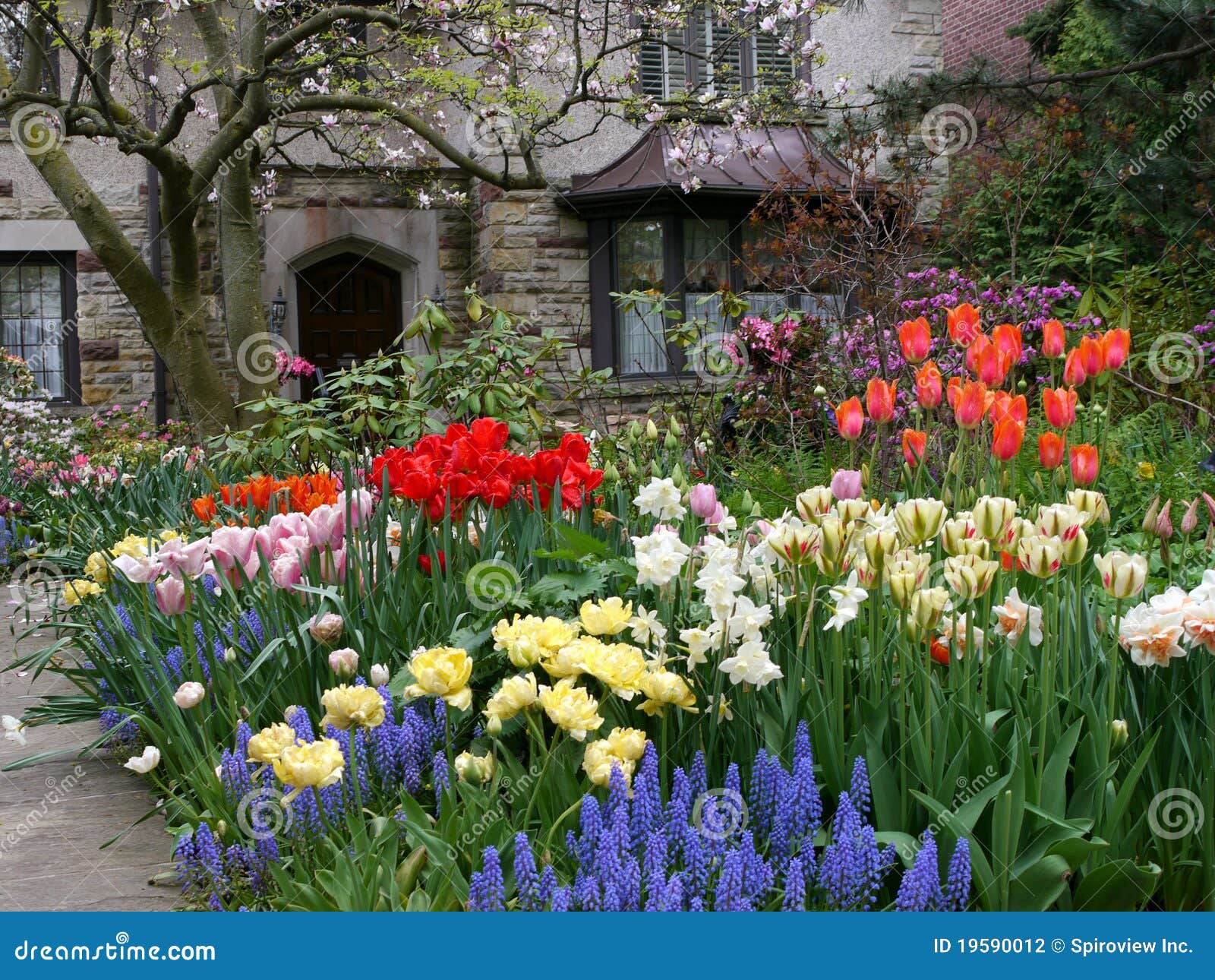 Garden with spring flowers editorial photography. Image of front - 19590012