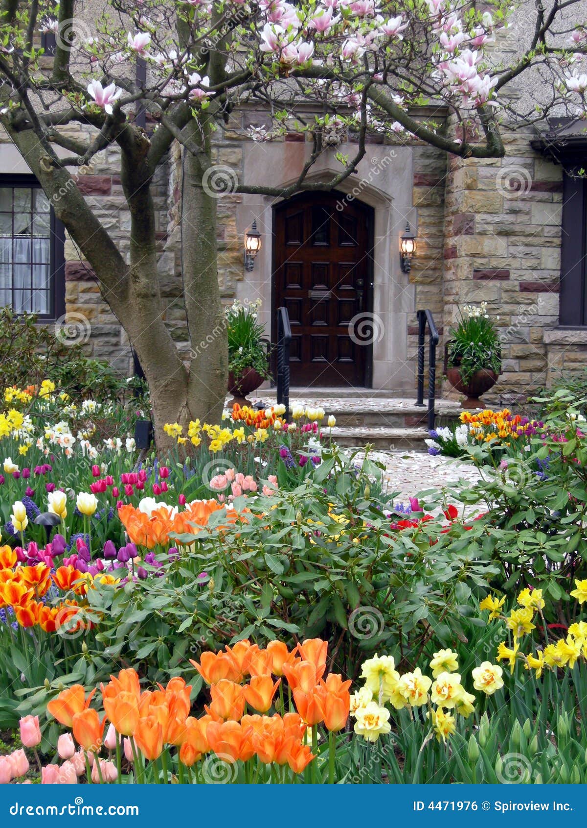 Garden with spring flowers stock photo. Image of sidewalk - 4471976