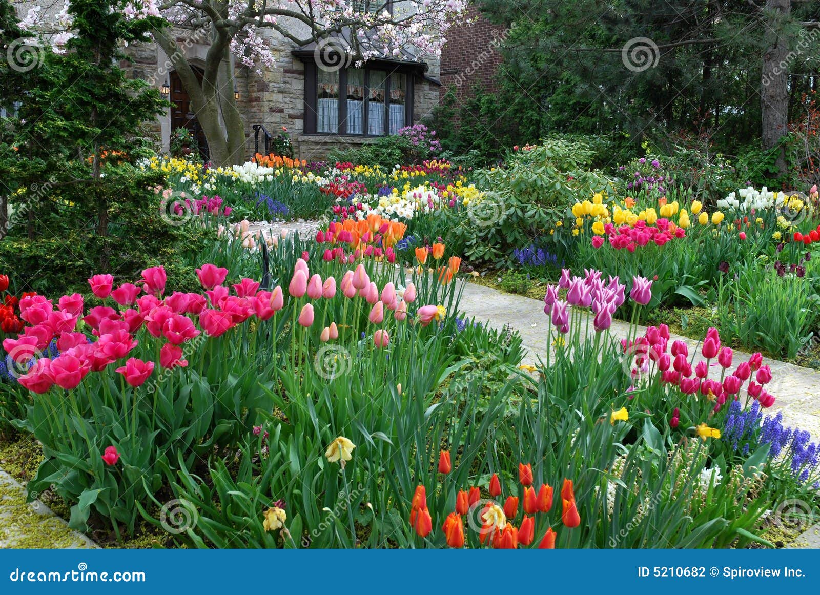 Garden with spring flowers stock photo. Image of sidewalk - 5210682