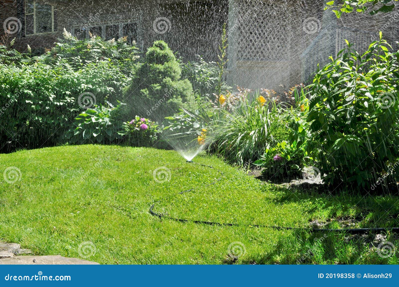 Garden sprinkler stock photo. Image of horticultural - 20198358