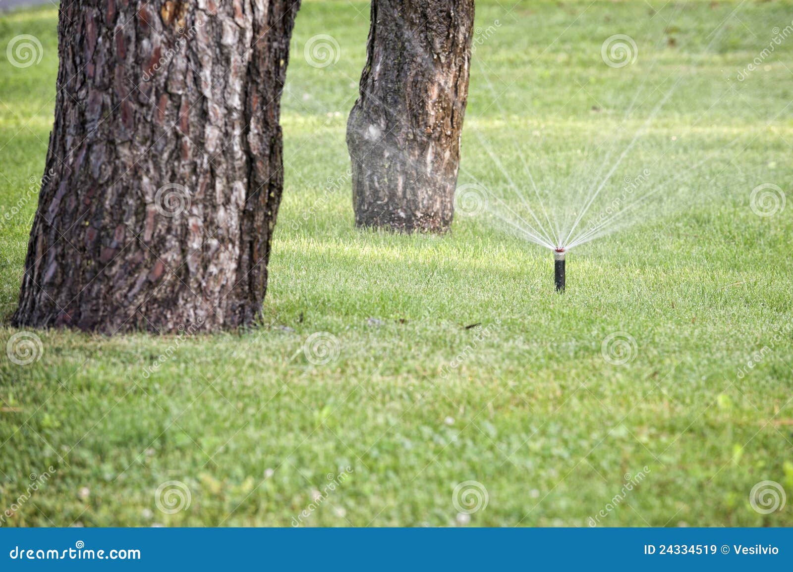 Garden sprinkler in action stock image. Image of equipment - 24334519